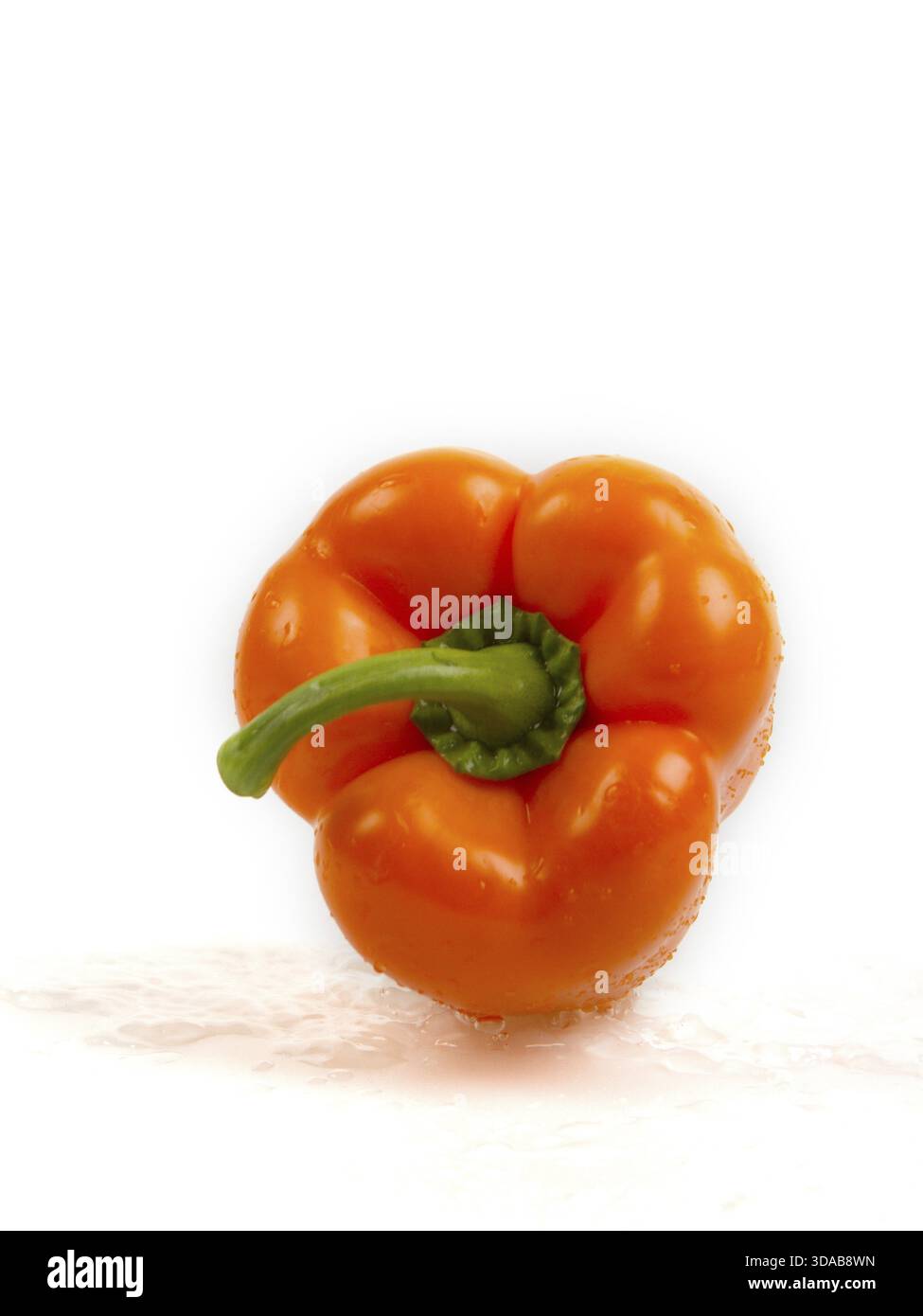 Top diverse Cut Out Stock Images & Pictures - Alamy