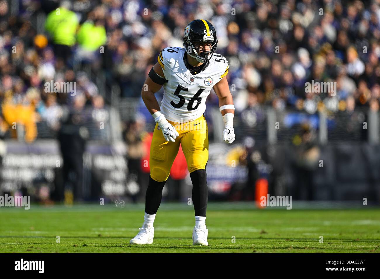 Pittsburgh Steelers linebacker Alex Highsmith (56) gets in position ...