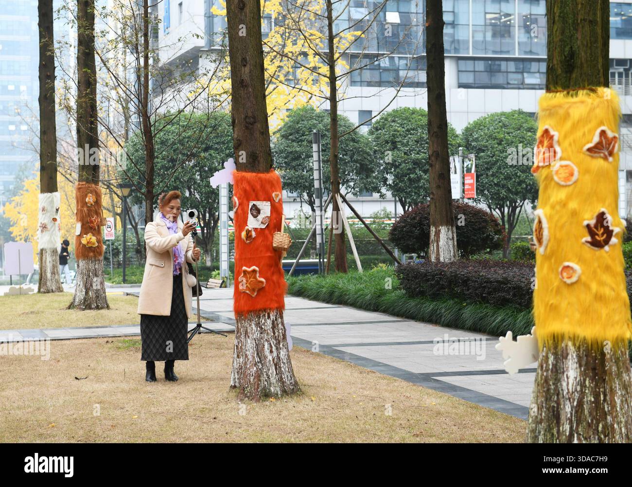 **CHINESE MAINLAND, HONG KONG, MACAU AND TAIWAN OUT** Trees on the ...