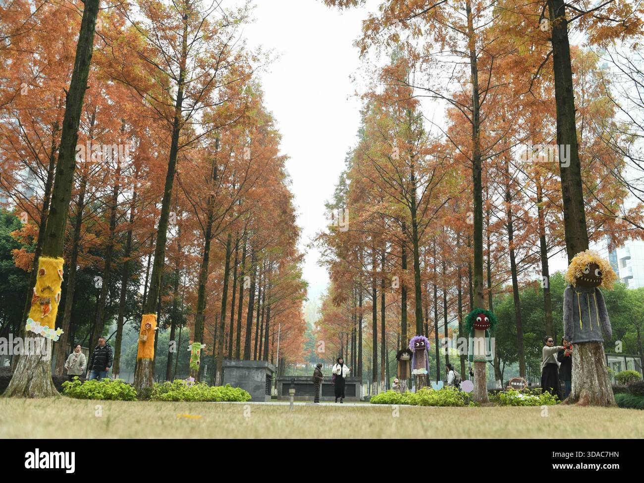 **CHINESE MAINLAND, HONG KONG, MACAU AND TAIWAN OUT** Trees on the ...