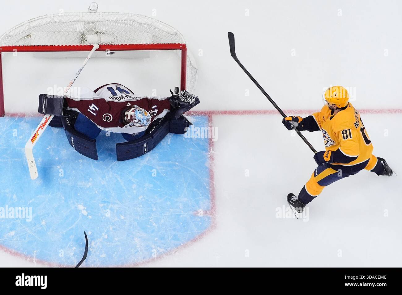 Nashville Predators center Jonathan Marchessault (81) scores a goal ...