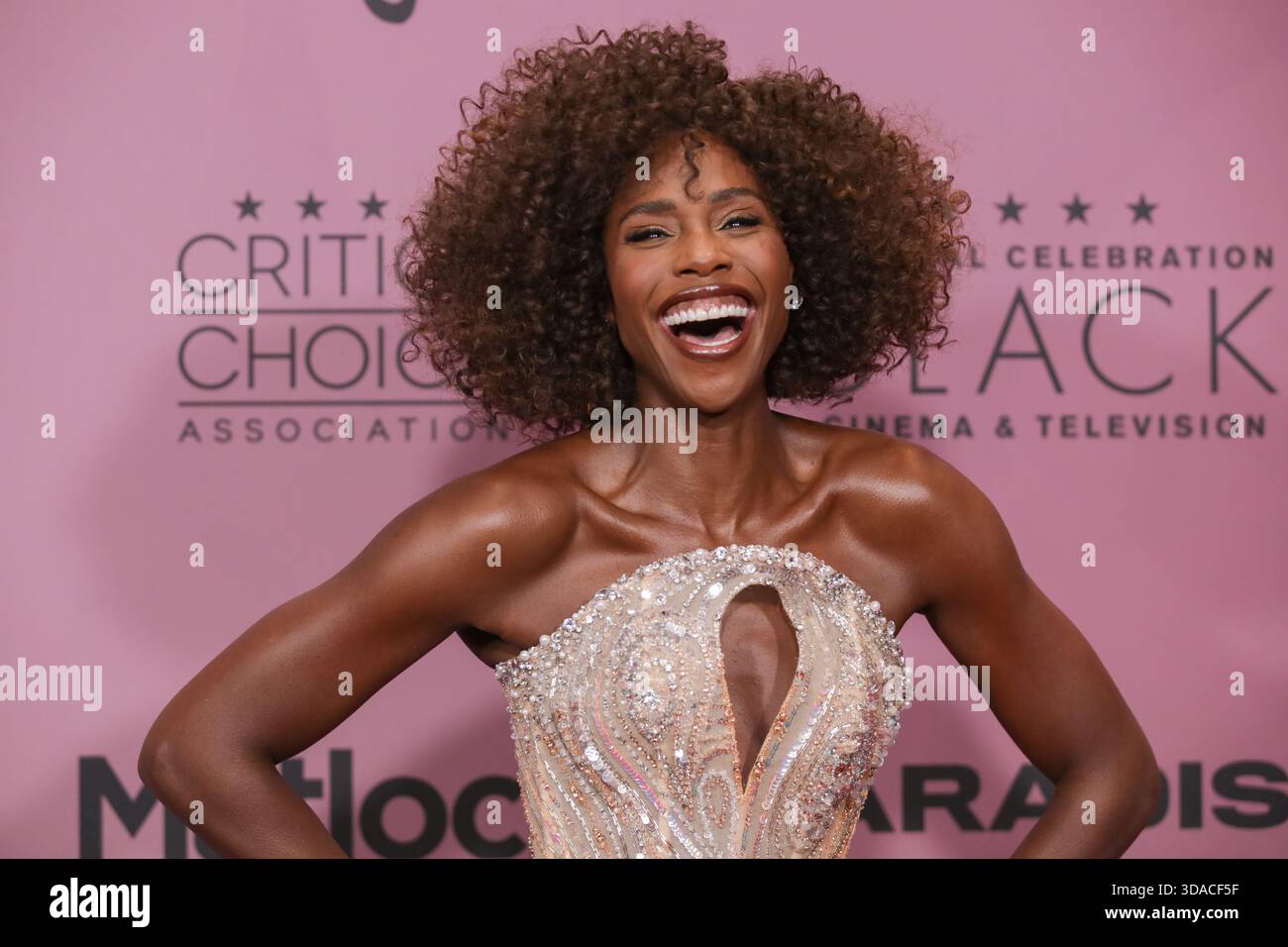 Tenika Davis arrives at the CCA's 8th Annual Celebration of Black ...