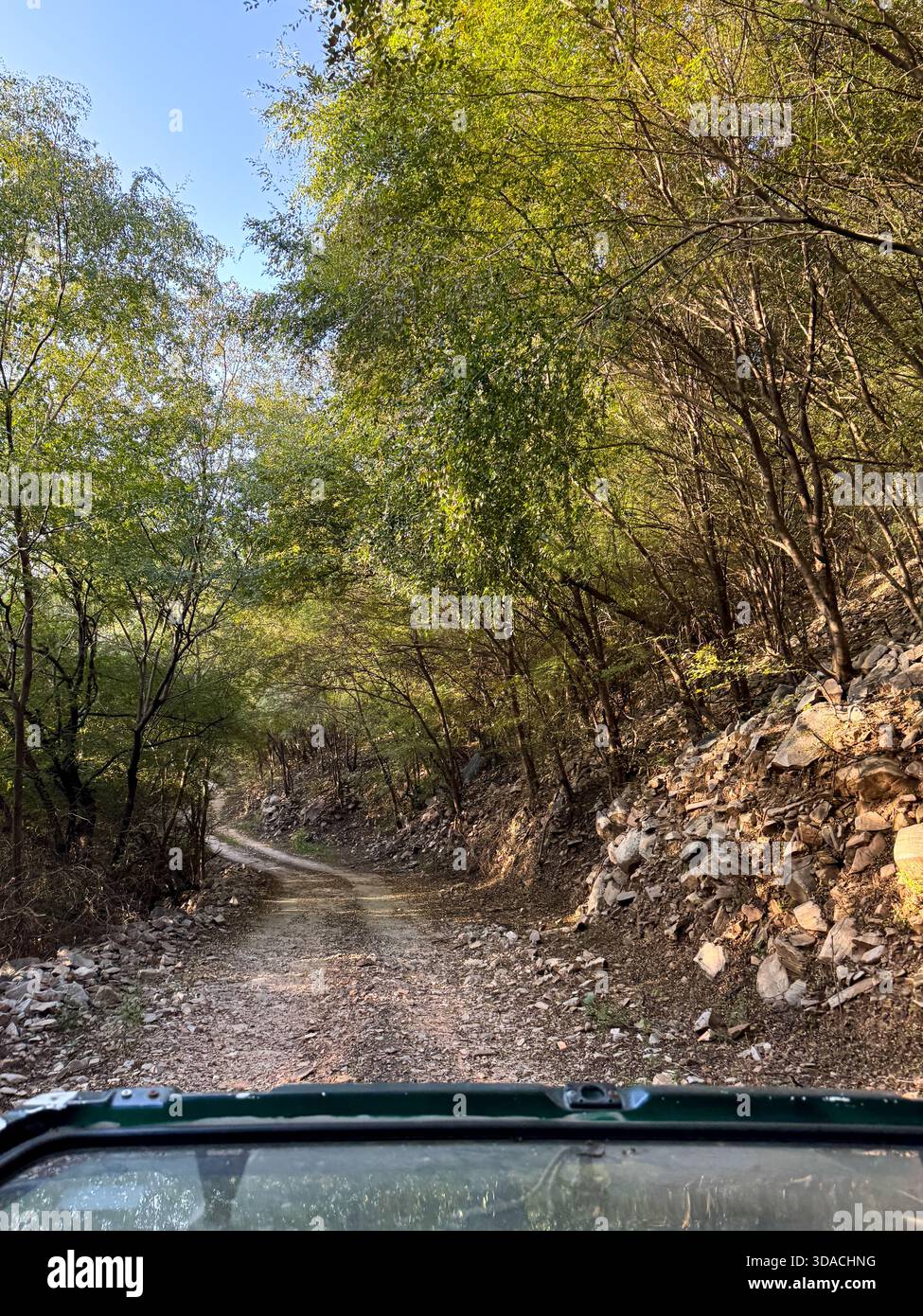 View forest taken during jungle hi-res stock photography and images - Alamy