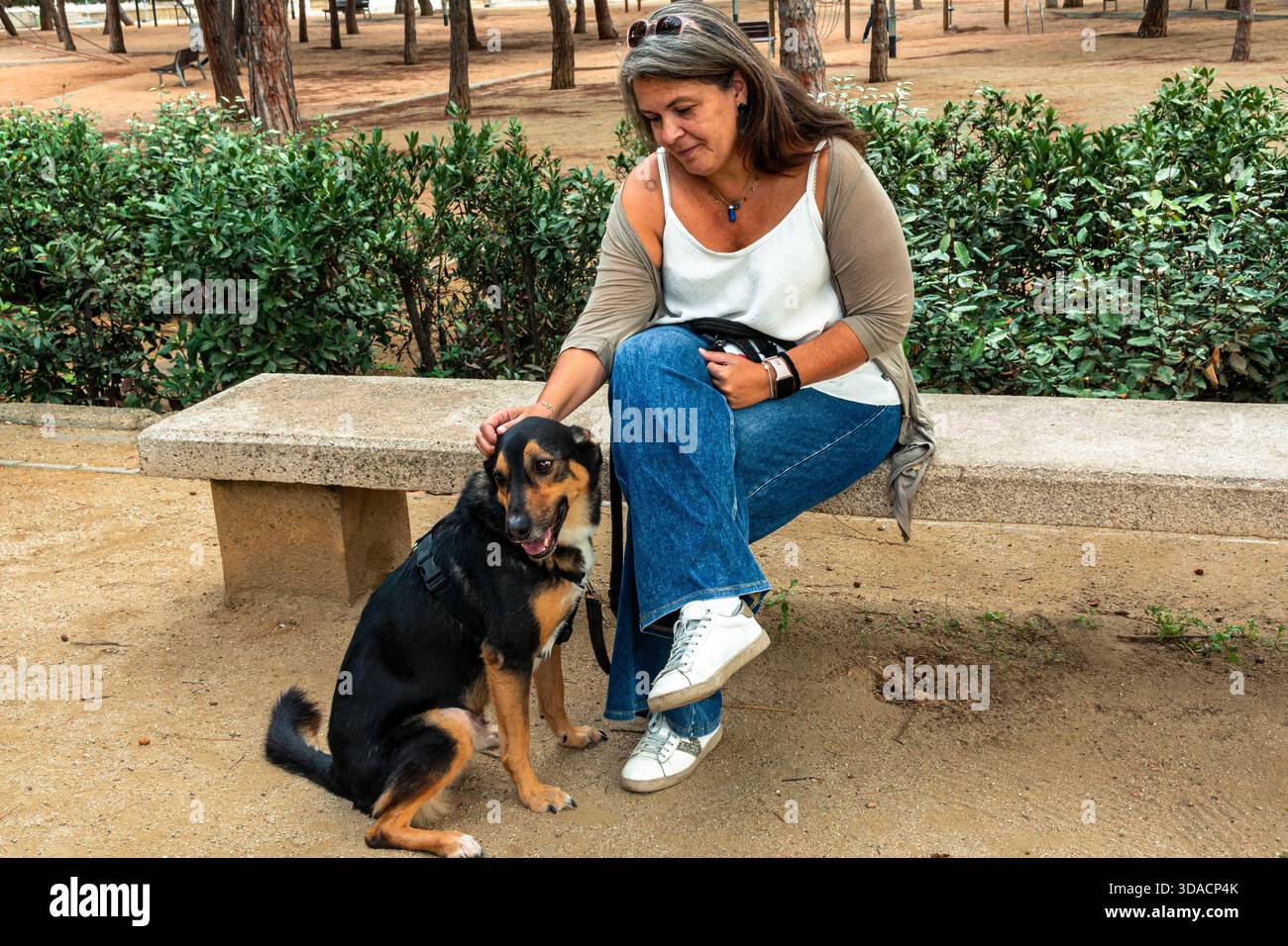 Human and dog bonding hi-res stock photography and images - Alamy