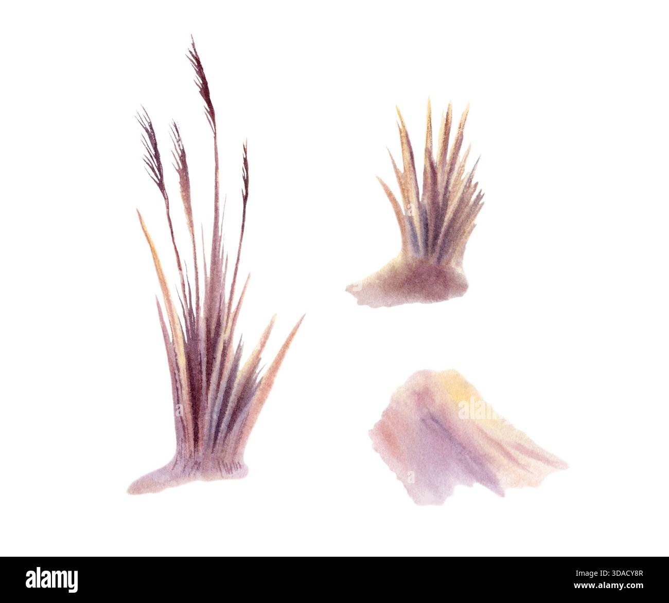 Tall grass in wind Cut Out Stock Images & Pictures - Alamy