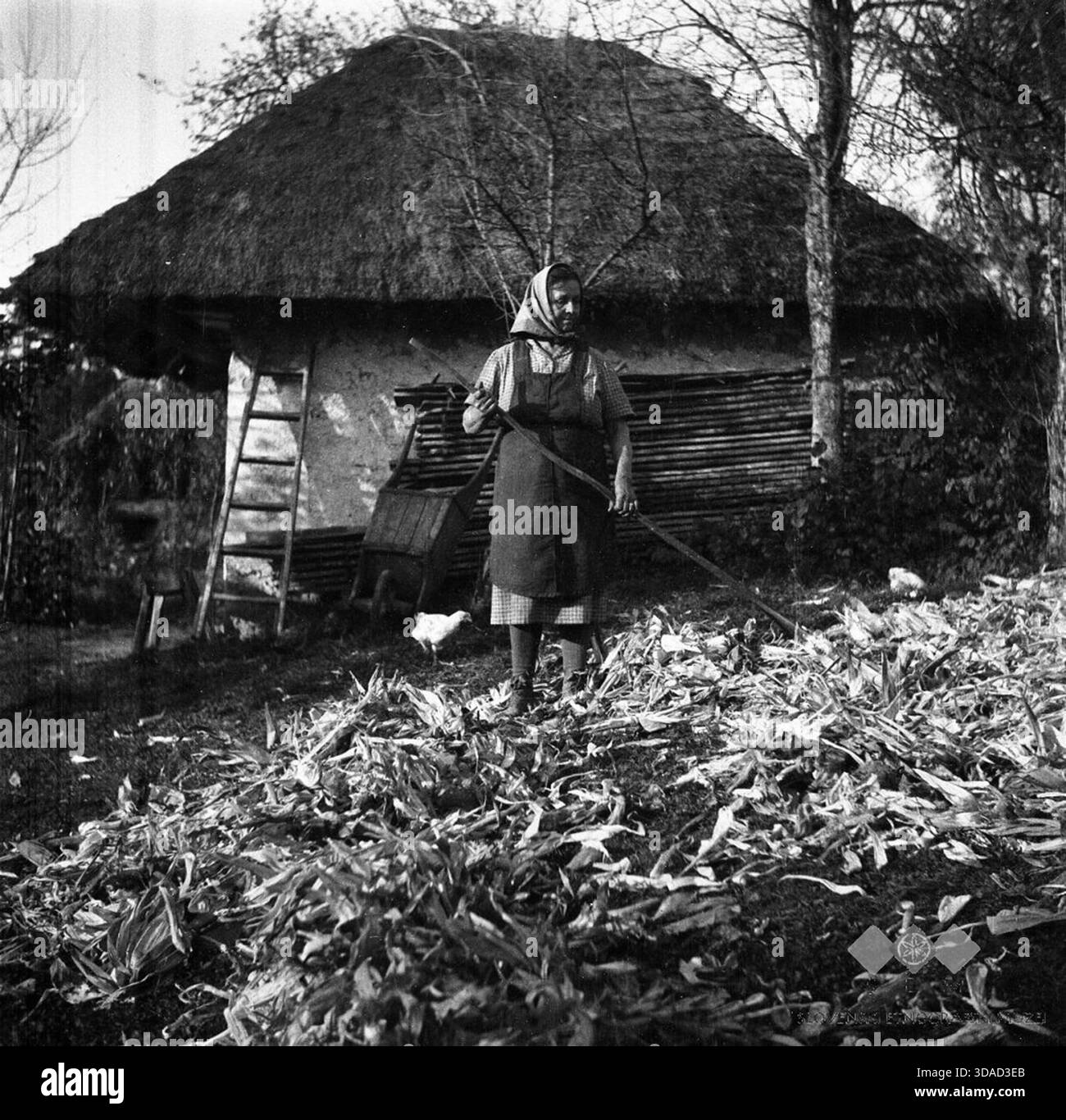 Illustrating agricultural labor Black and White Stock Photos & Images ...