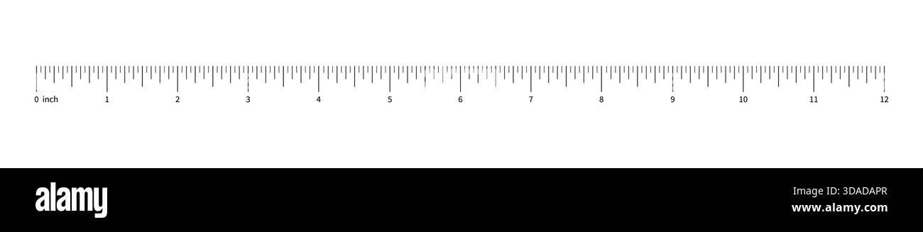 Measuring chart, ruler scale with 12 inches. Length measurement ...