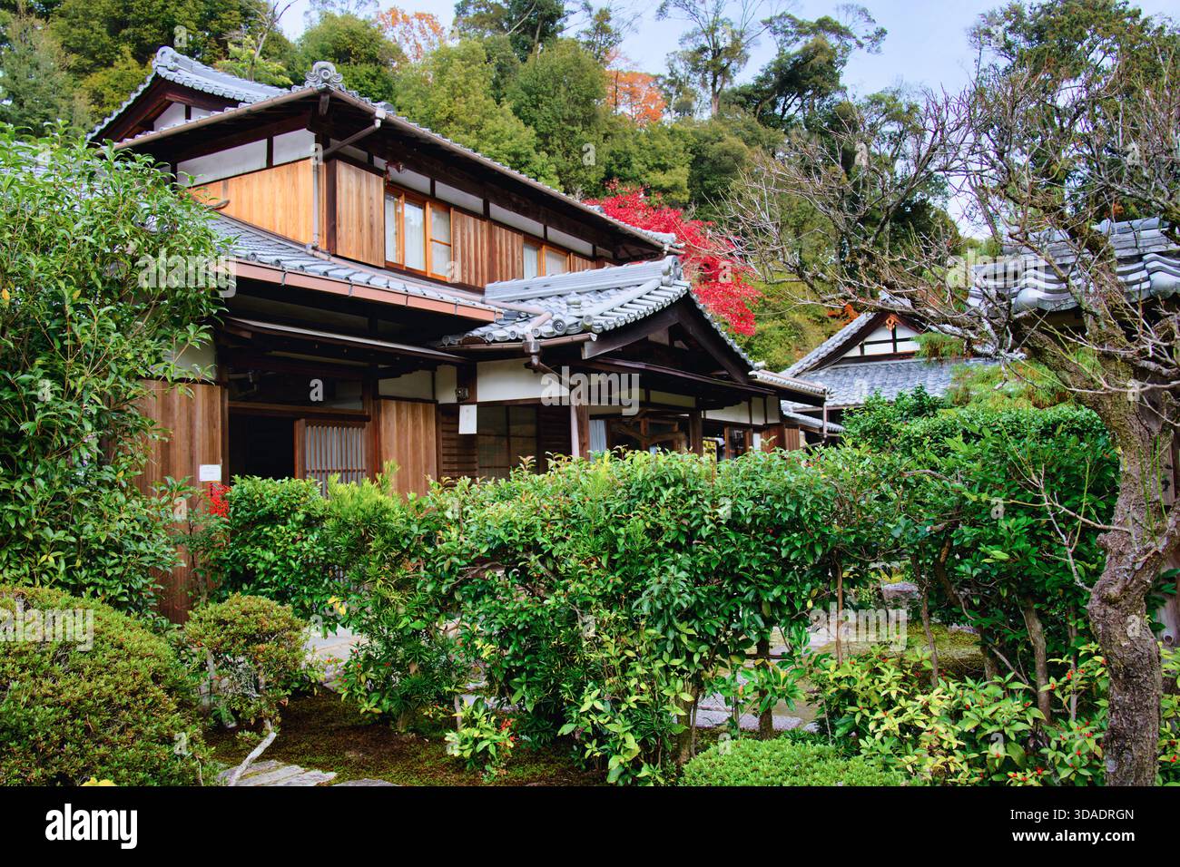 Kyoto Maple Leaf Scenic Spots - Sokushu-in Temple Stock Photo - Alamy