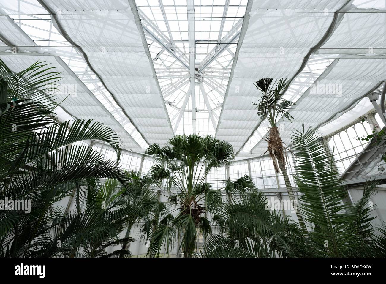 10 December 2025, Saxony, Dresden: A textile energy screen made of ...