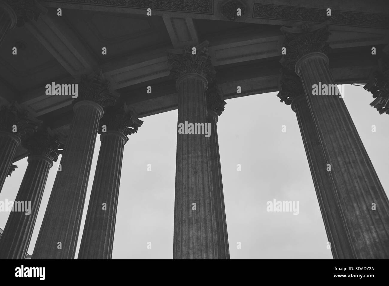 Detailed composition captures Black and White Stock Photos & Images - Alamy