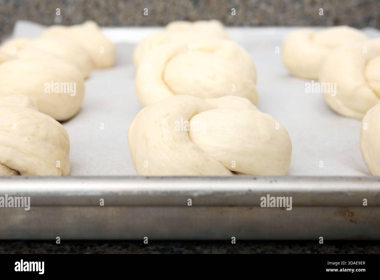 Bread bun knots on baking sheet rising. Raw dough knots. Multiple yeast ...