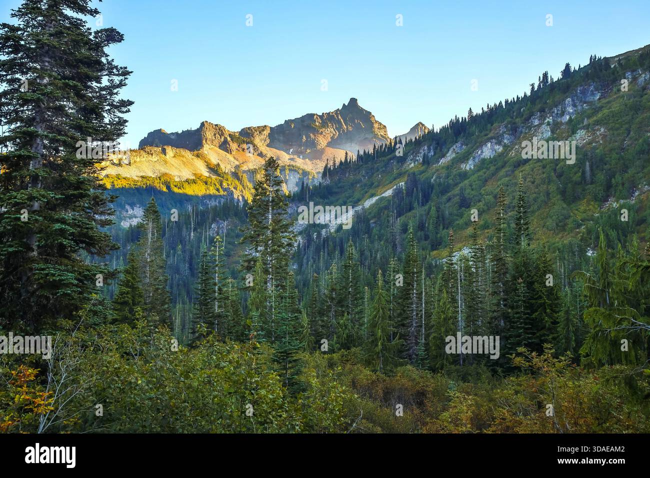 Bench lake mount rainier hi-res stock photography and images - Alamy