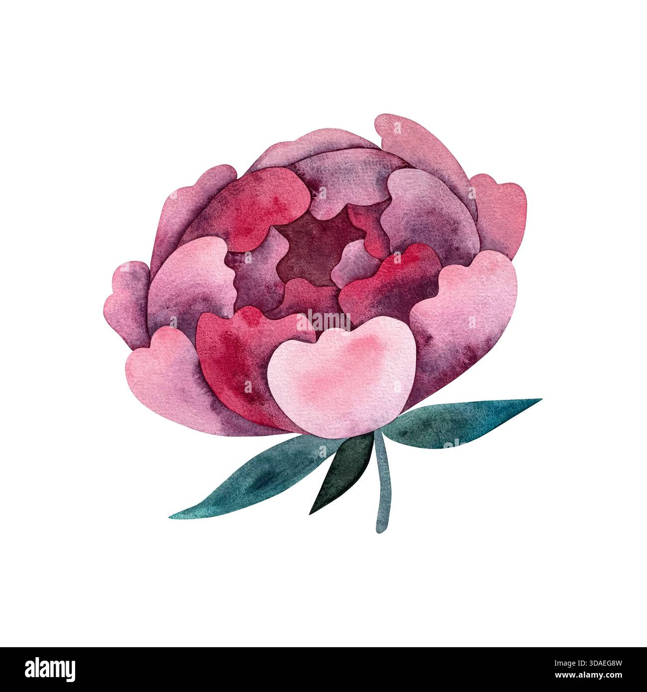 Showcasing delicate shades Cut Out Stock Images & Pictures - Alamy