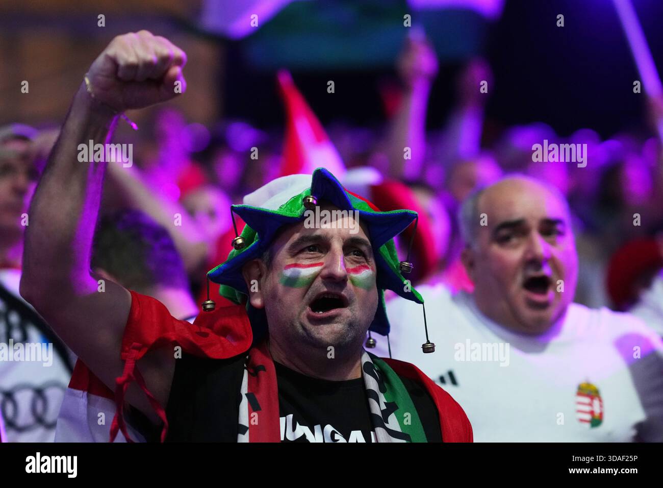 Hungarian fans support their team before the women's handball World ...