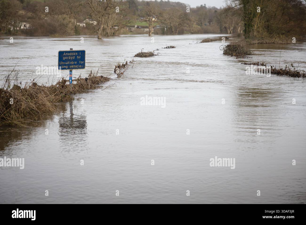 CARDIGAN, UK - 10 Dec 2025: Flooding at the 17th-century Llechryd ...