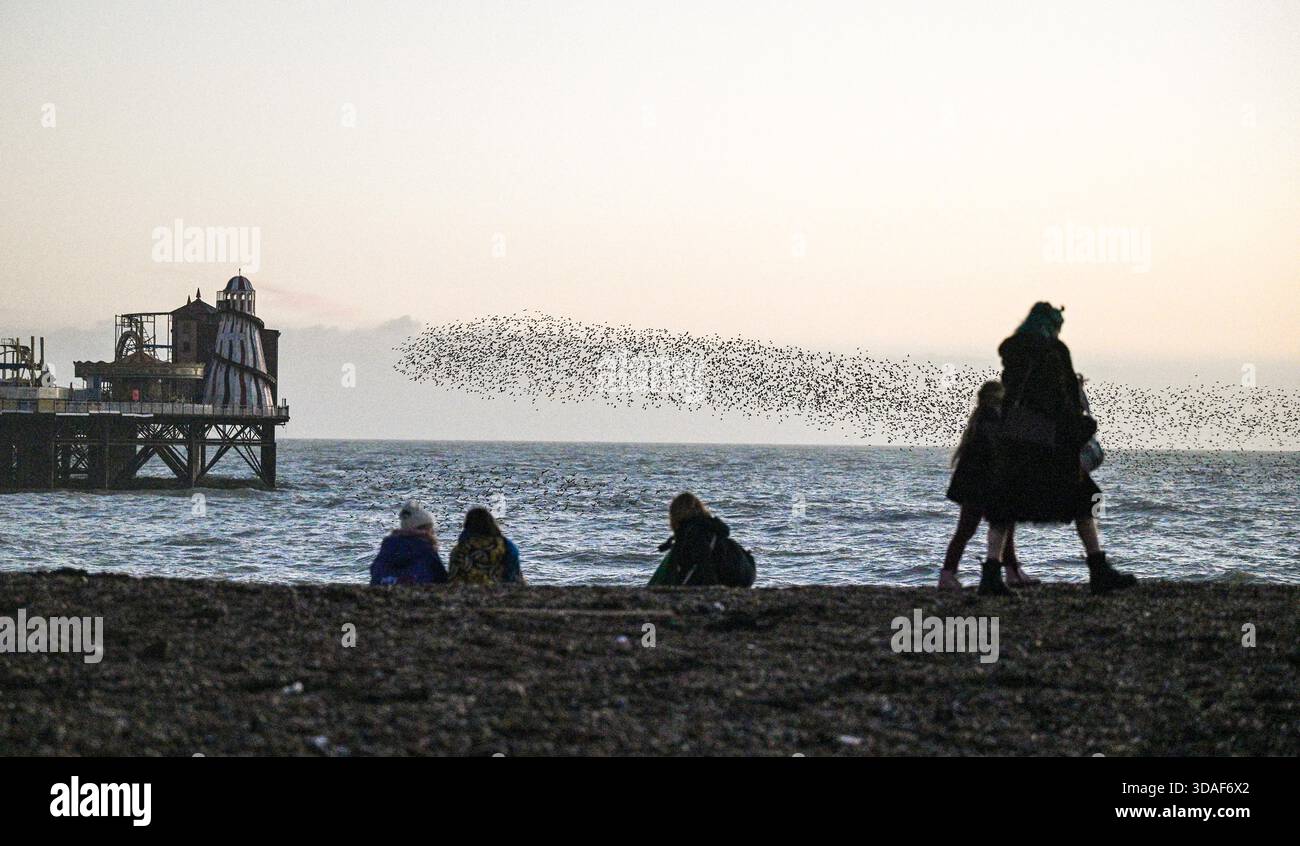 December 2025 murmuration hi-res stock photography and images - Alamy