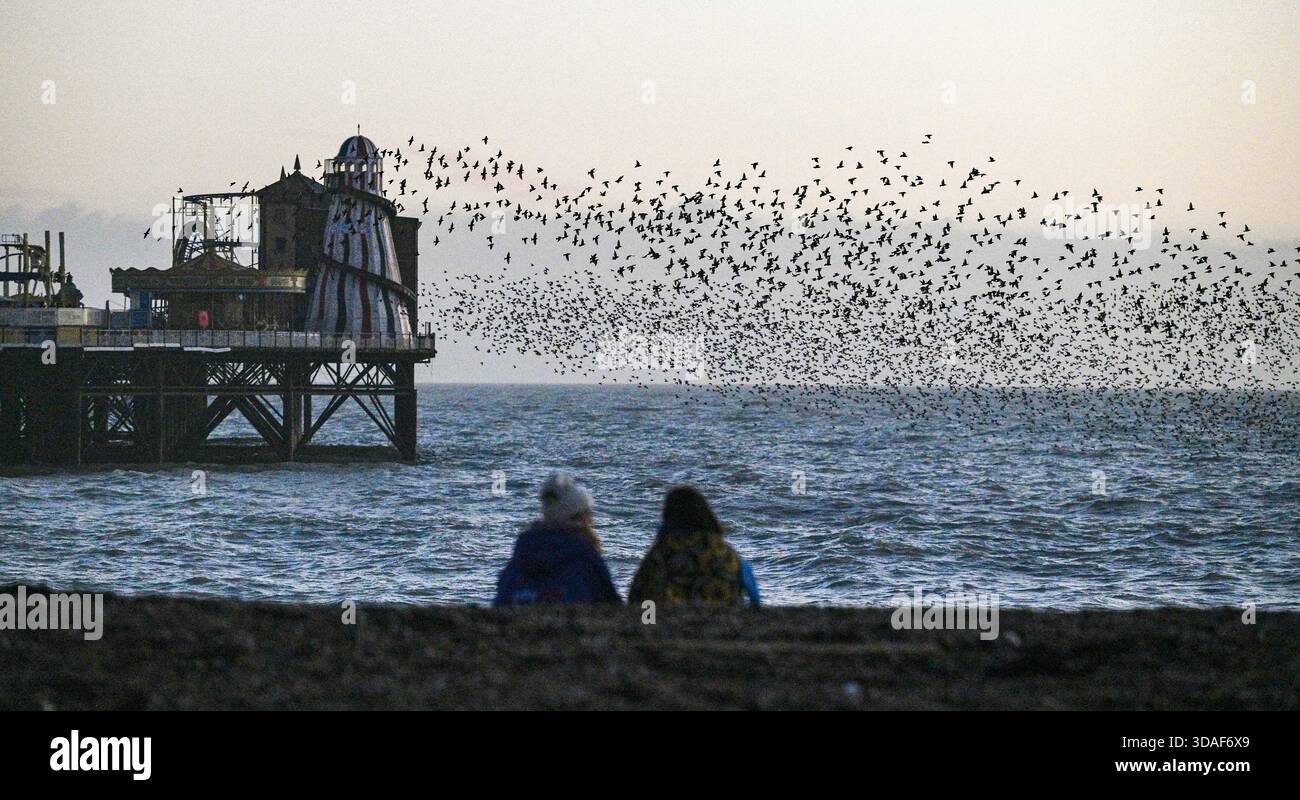 December 2025 murmuration hi-res stock photography and images - Alamy