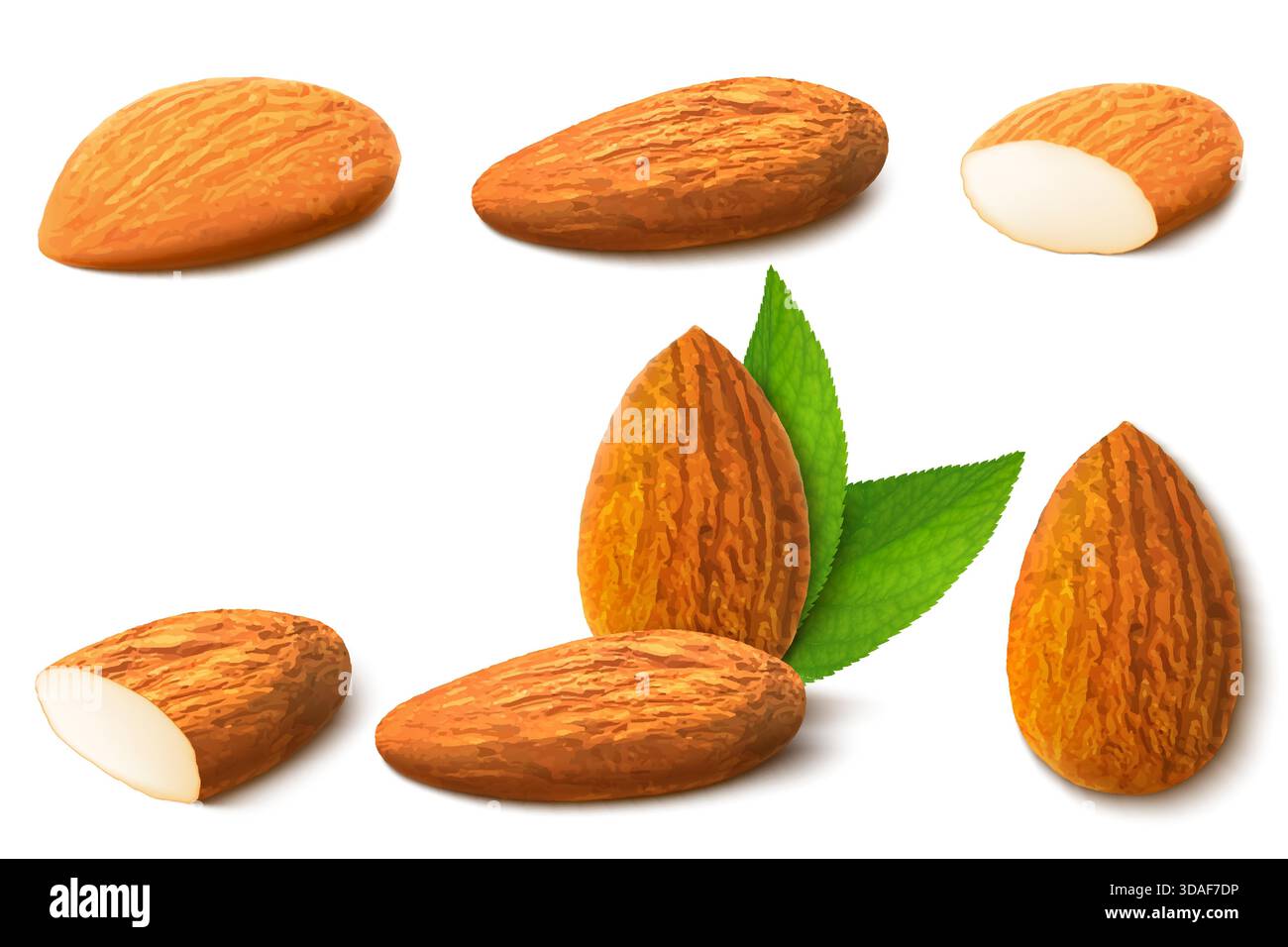 Almond nut composition, different statements. Whole and cracked nuts ...
