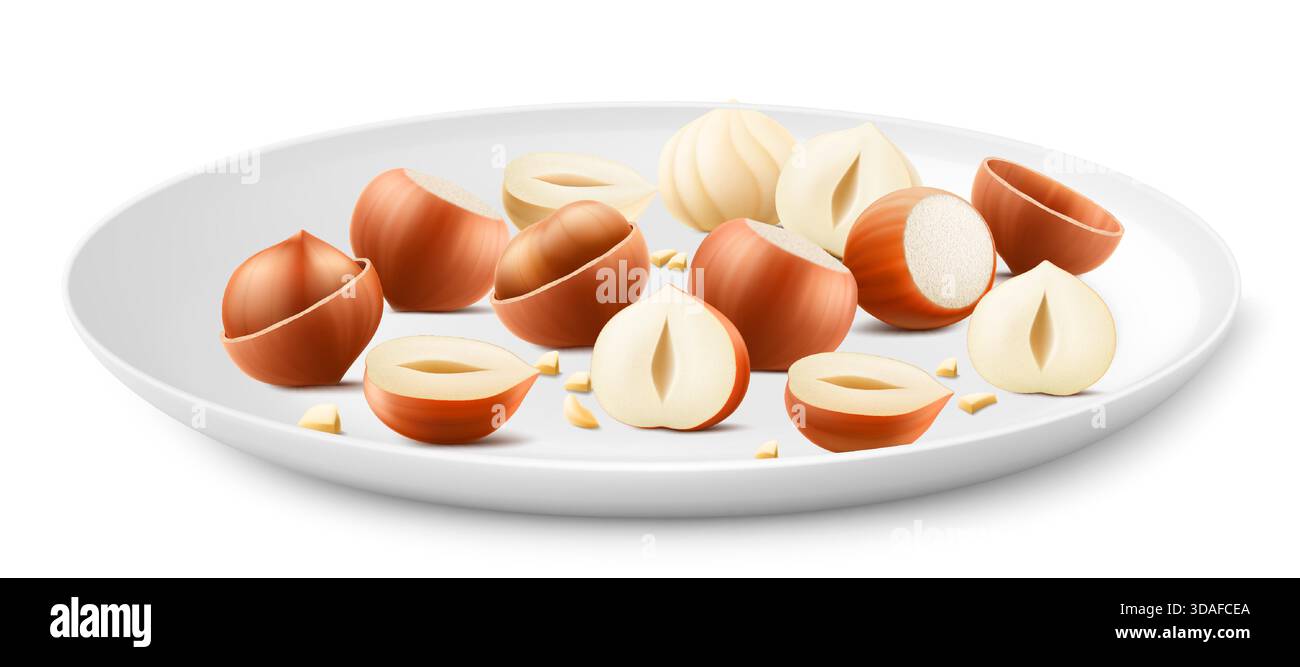 Hazelnuts on a white porcelain plate. Whole and half hazelnut isolated ...