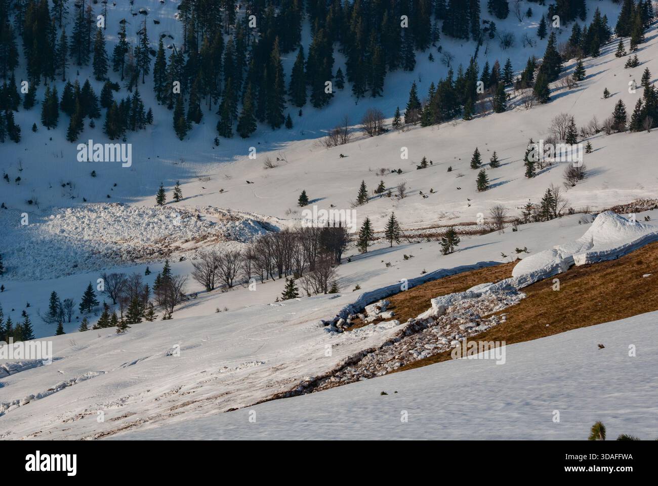 Aerial view of snow-dusted Bystra dolina valley, where winter's icy ...