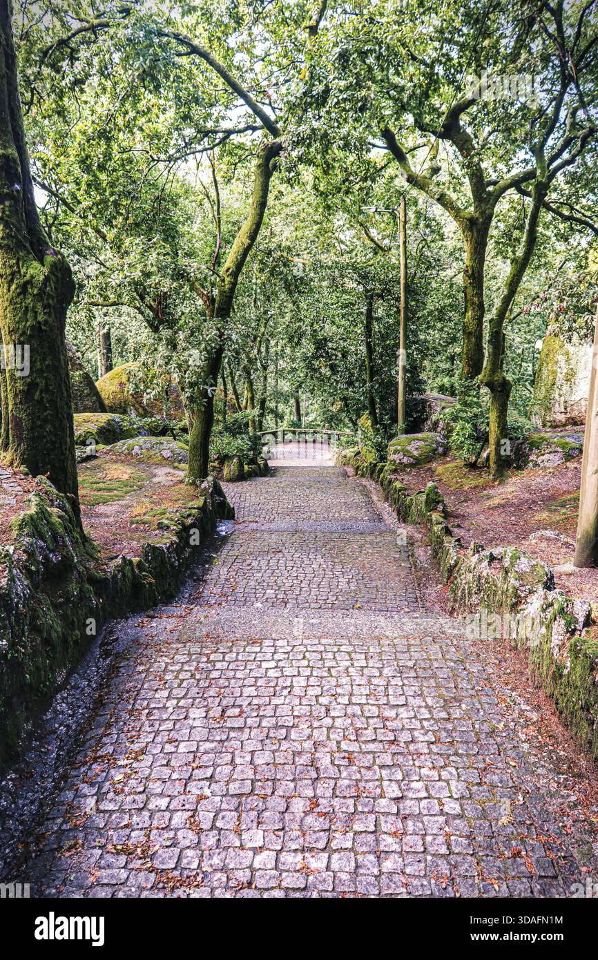 Stone Pathway Through Mossy Forest at Penha, Guimaraes Stock Photo - Alamy