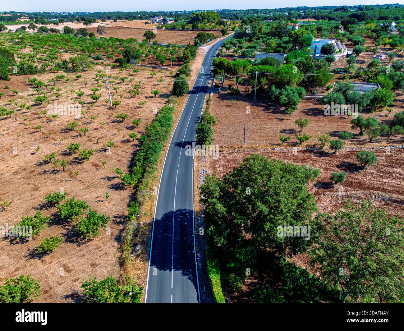 Scattered trees adding hi-res stock photography and images - Alamy