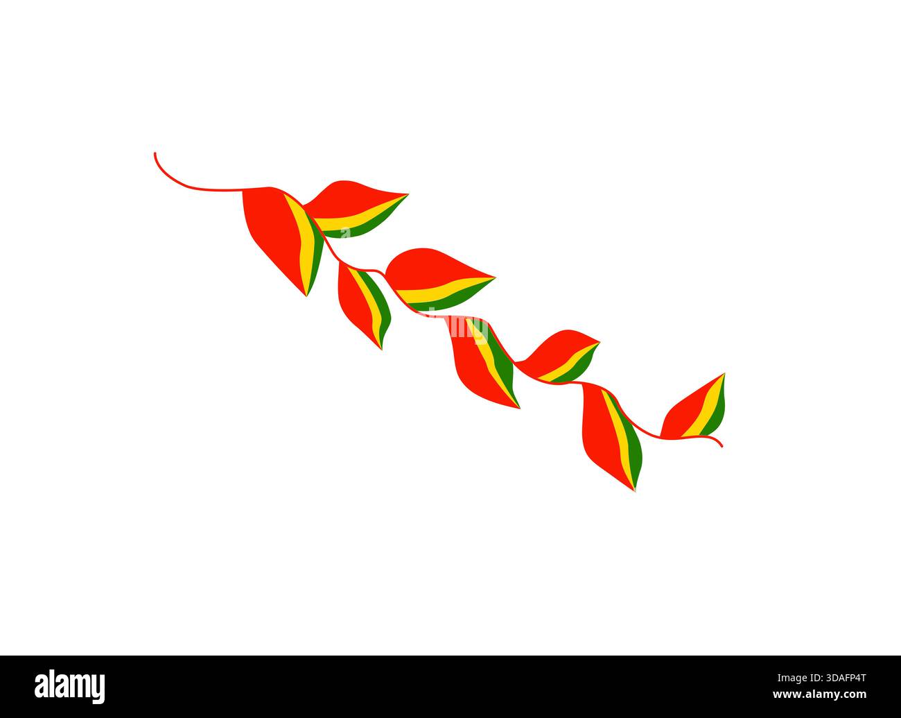 Flag of the Patujú flower, Eastern Bolivia. Symbol of cultural identity ...