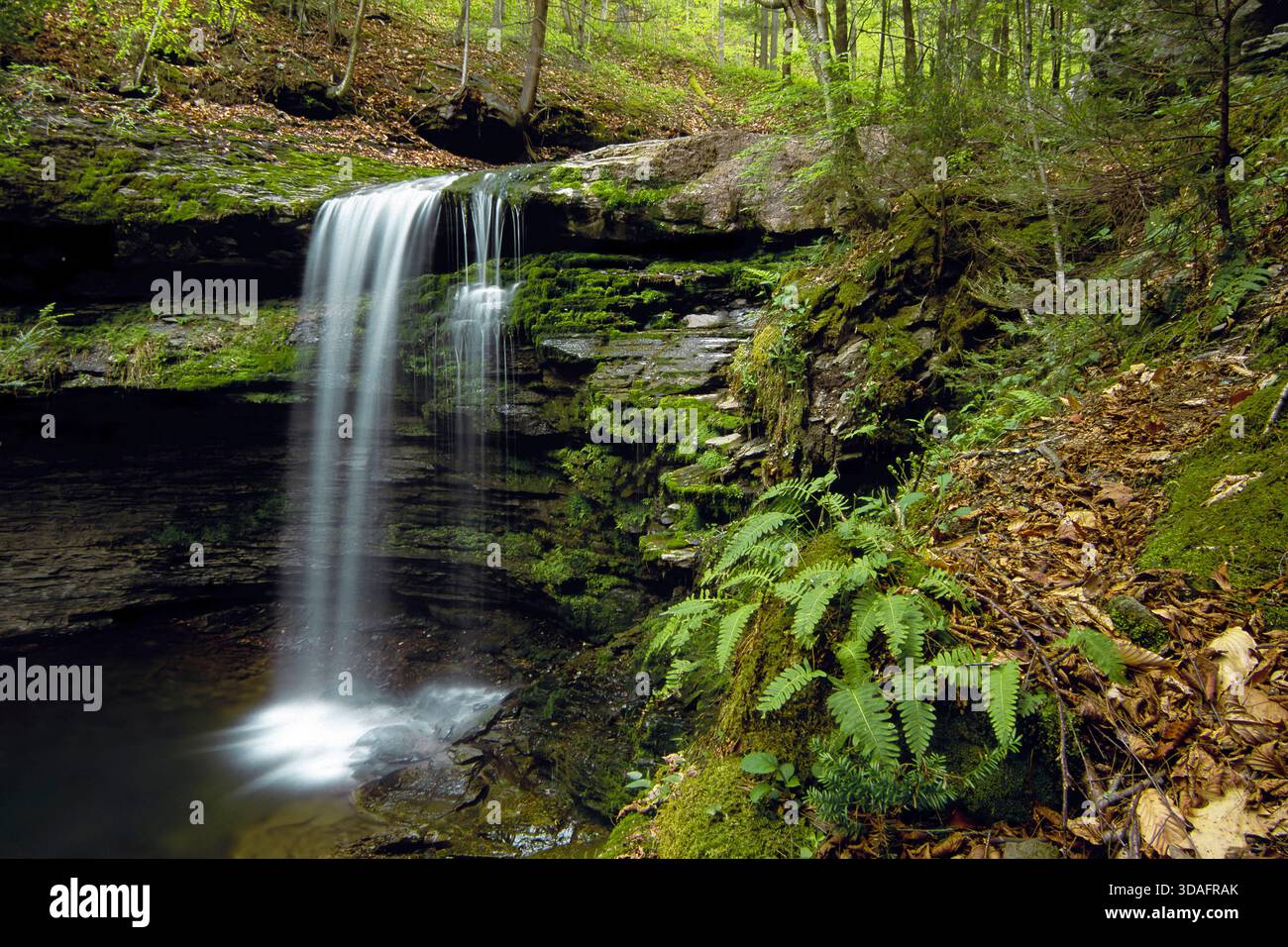 Campbells Run Waterfalls , Pine Creek Gorge State Forest Natural Area ...