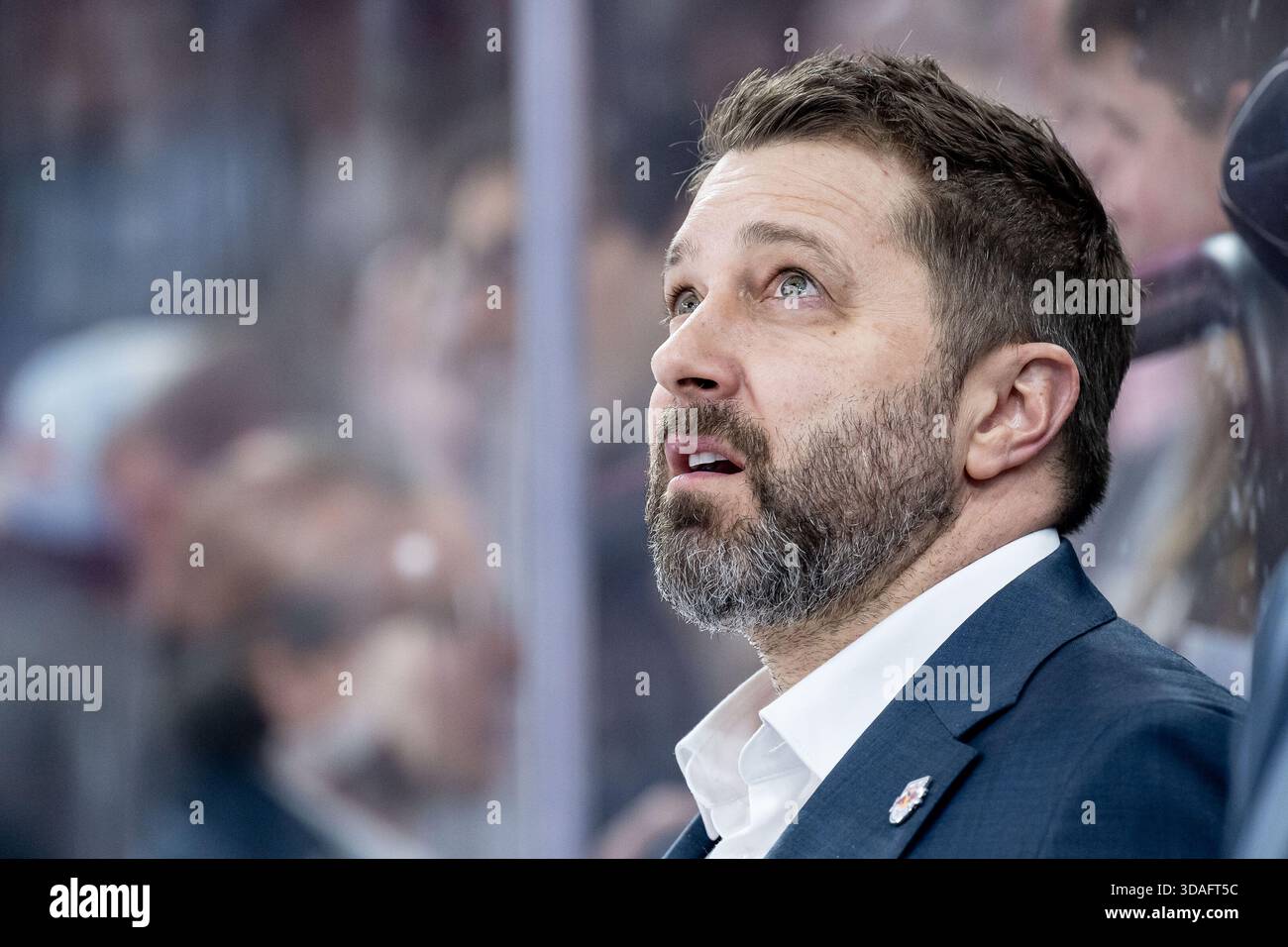 Oliver David (Head Coach, EHC Red Bull Munich) / Portrait / Portrait ...