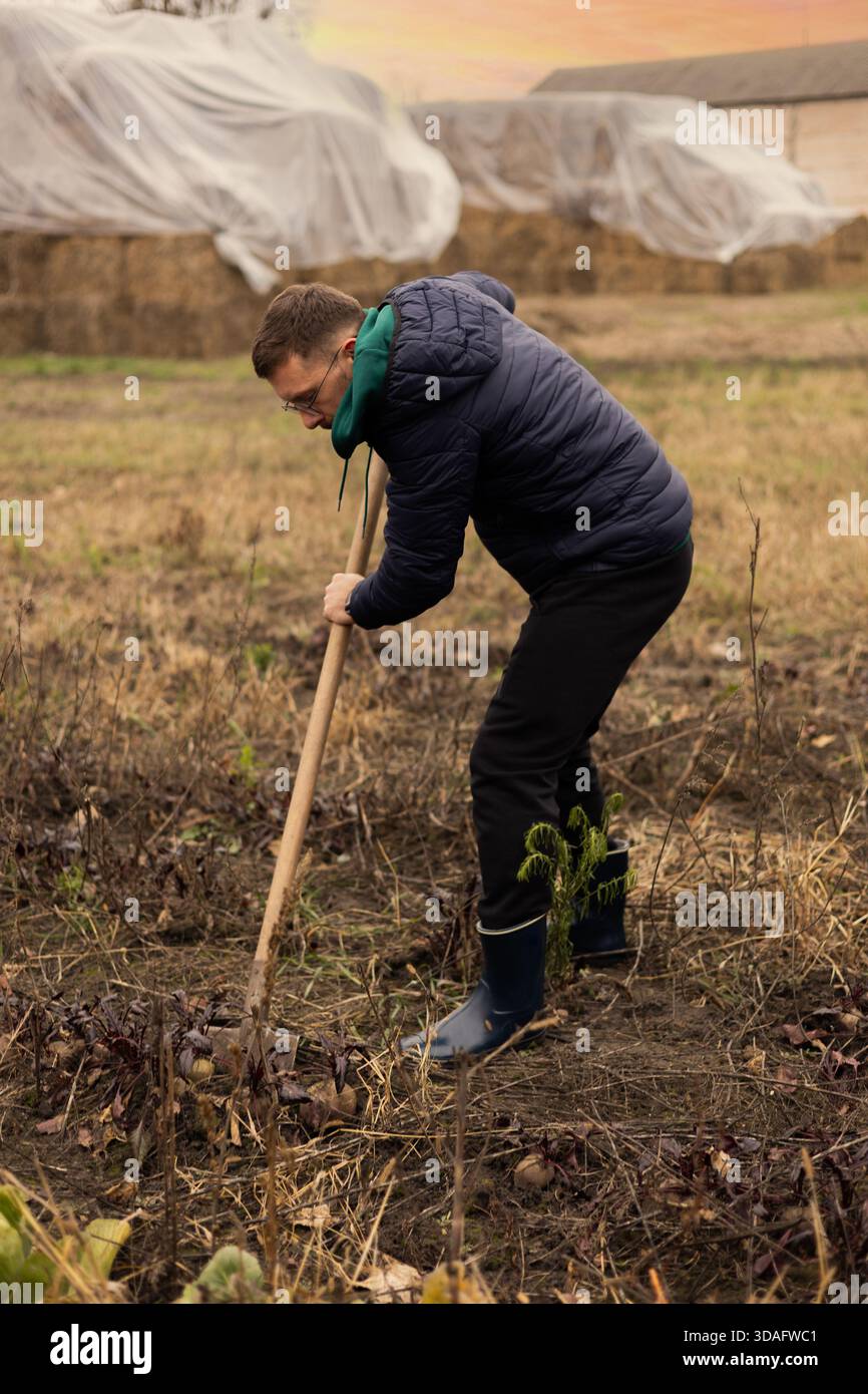 Agronomist man harvesting crop hi-res stock photography and images - Alamy