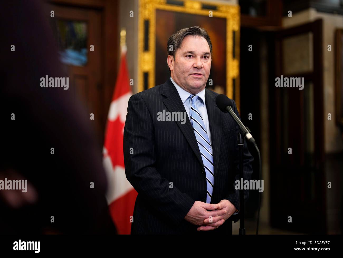 Interim NDP Leader Don Davies speaks in the Foyer of the House of ...