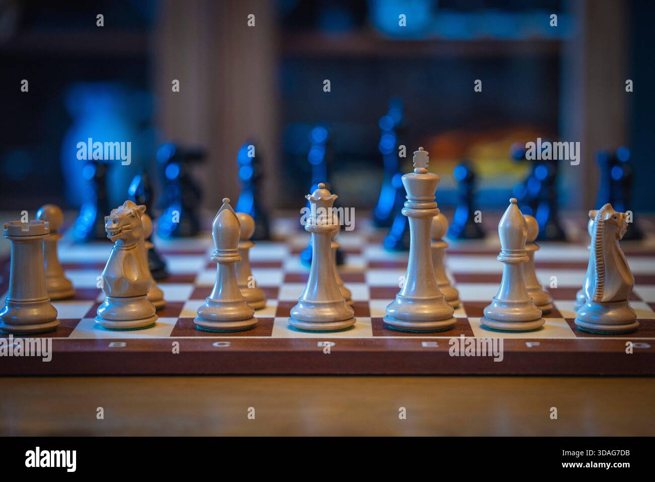 Pieces of chess game, image with shallow depth of field Stock Photo - Alamy