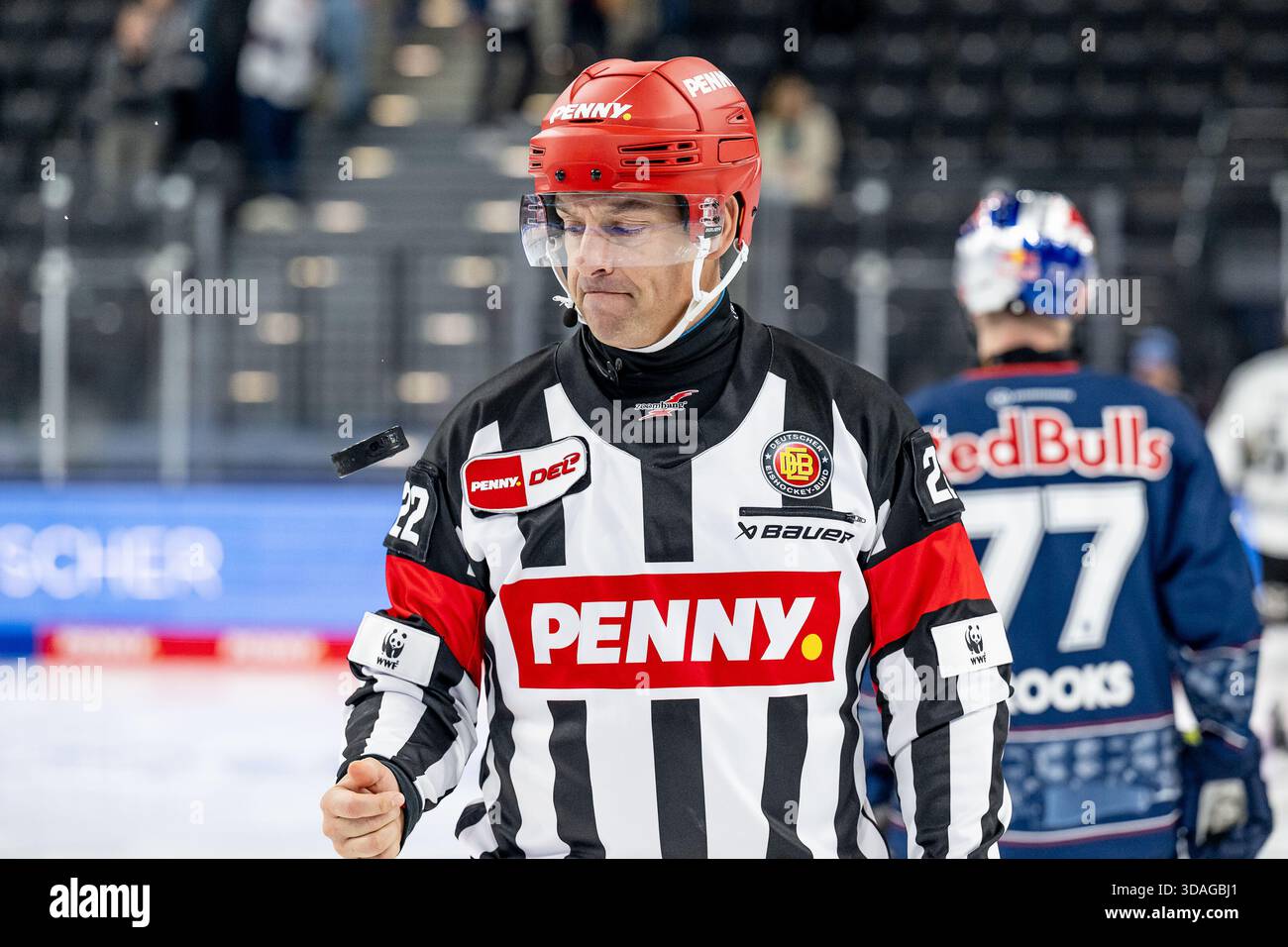 Chief Referee Ghislain Hebert GER, EHC Red Bull Muenchen vs. Koelner ...