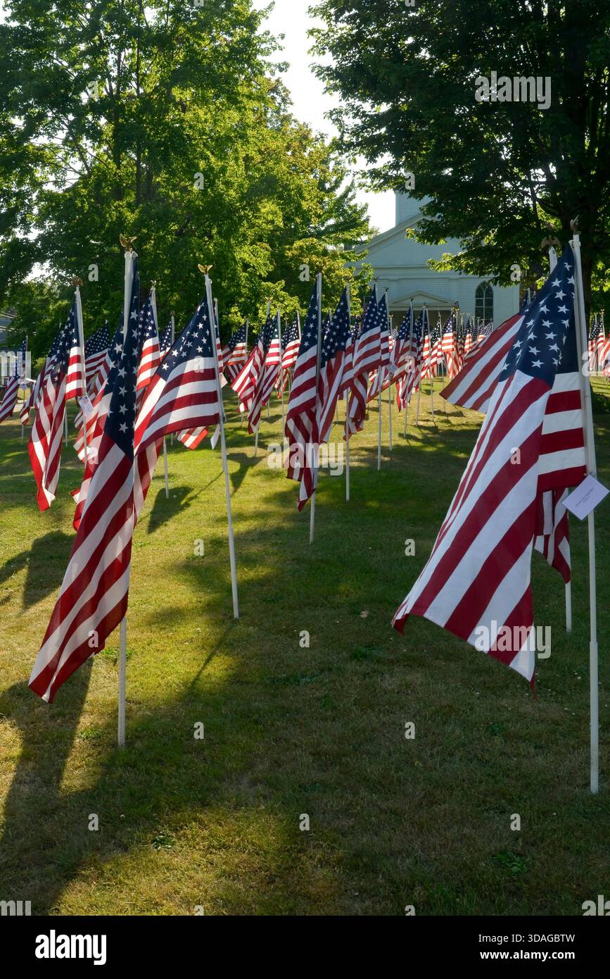 American flags honoring veterans are flying on the village green in ...
