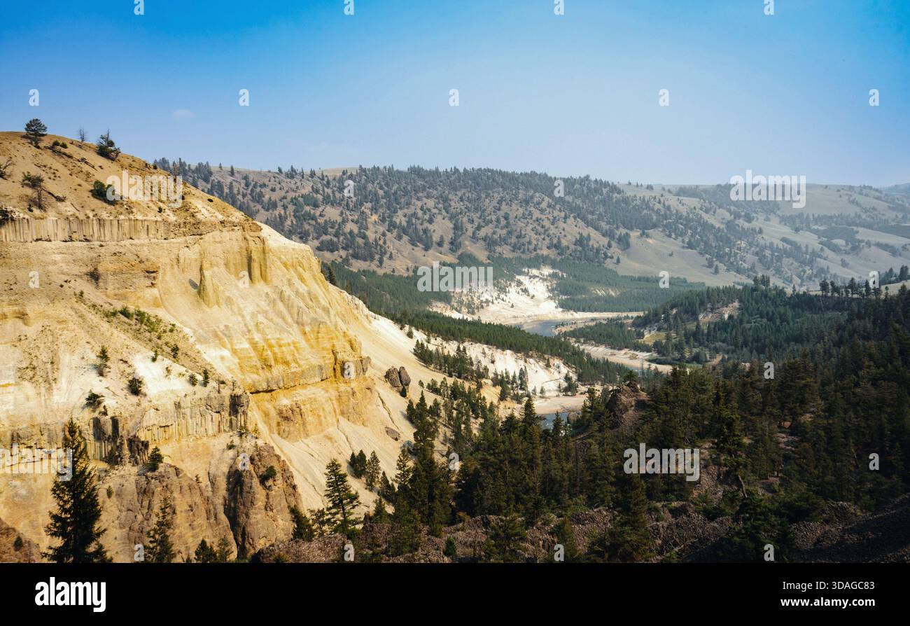 Golden volcanic cliffs rise above a wide forested valley in Yellowstone ...