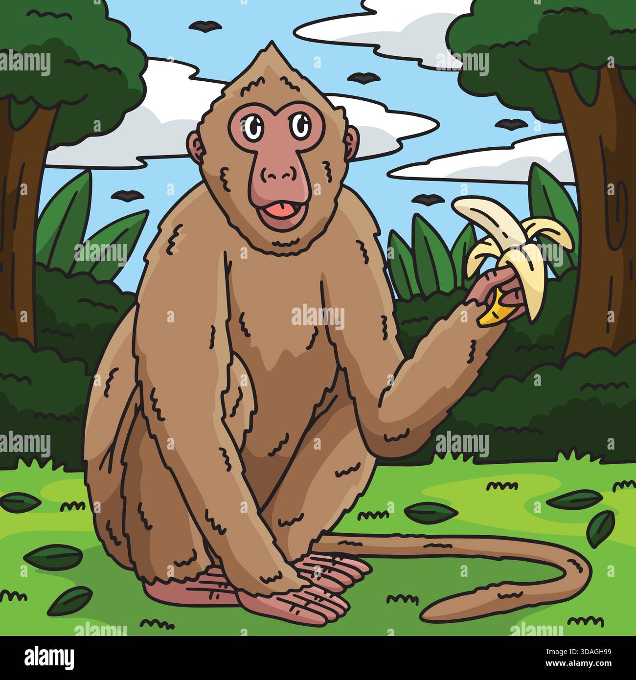 Long tailed macaque crab eating Stock Vector Images - Alamy