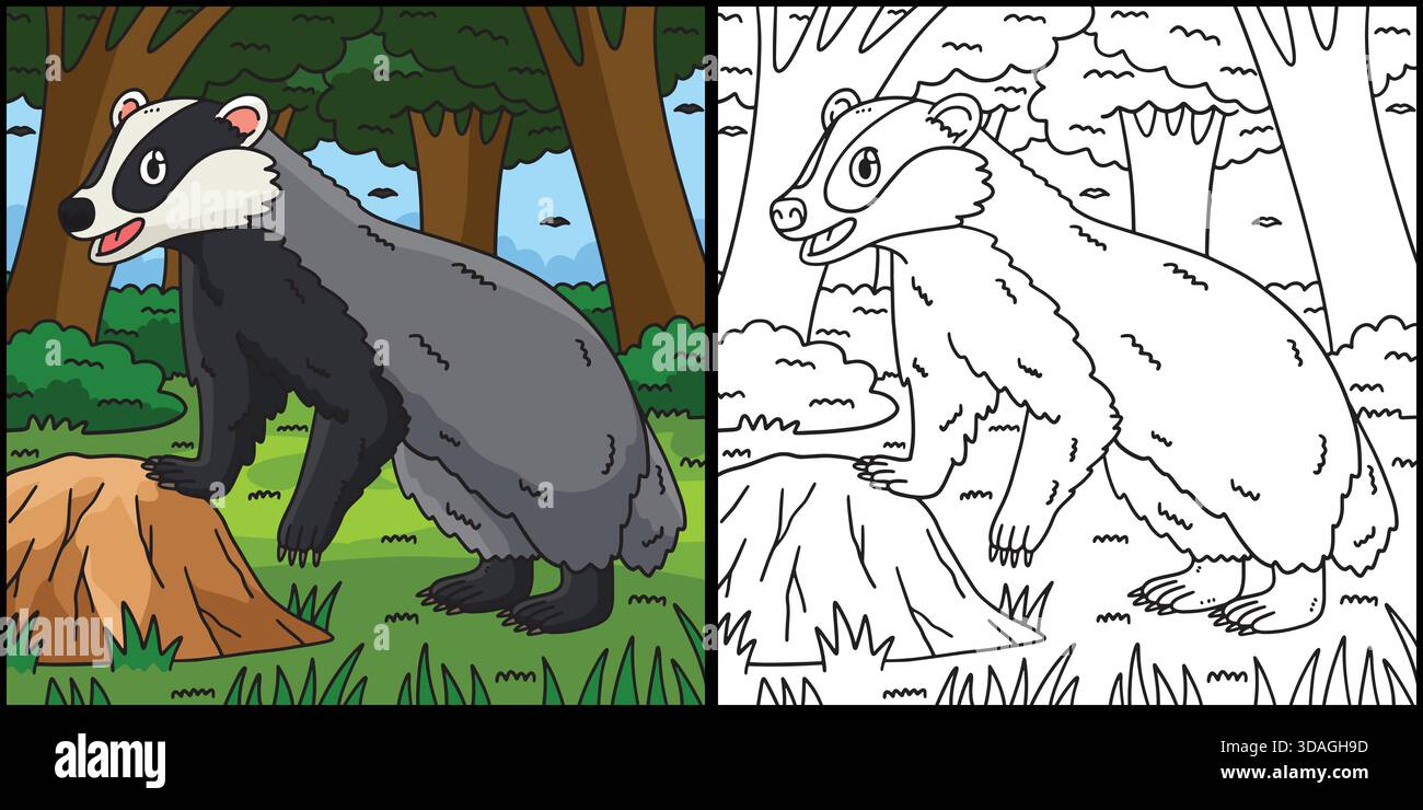 Forest Animal Badger Coloring Page Illustration Stock Vector Image ...