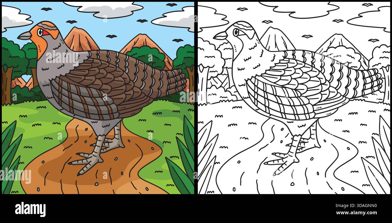 Forest Animal Partridge Coloring Page Illustration Stock Vector Image ...