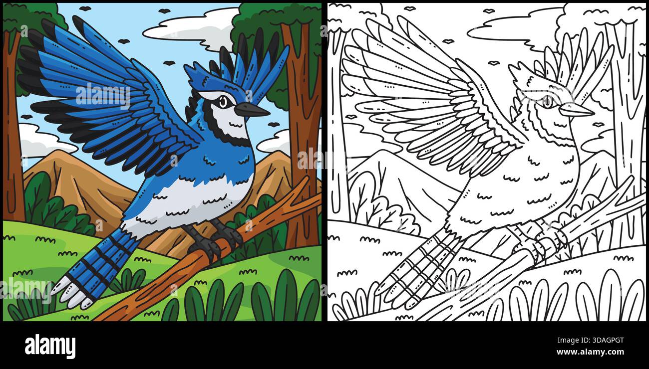 Forest Animal Jay Bird Coloring Page Illustration Stock Vector Image ...