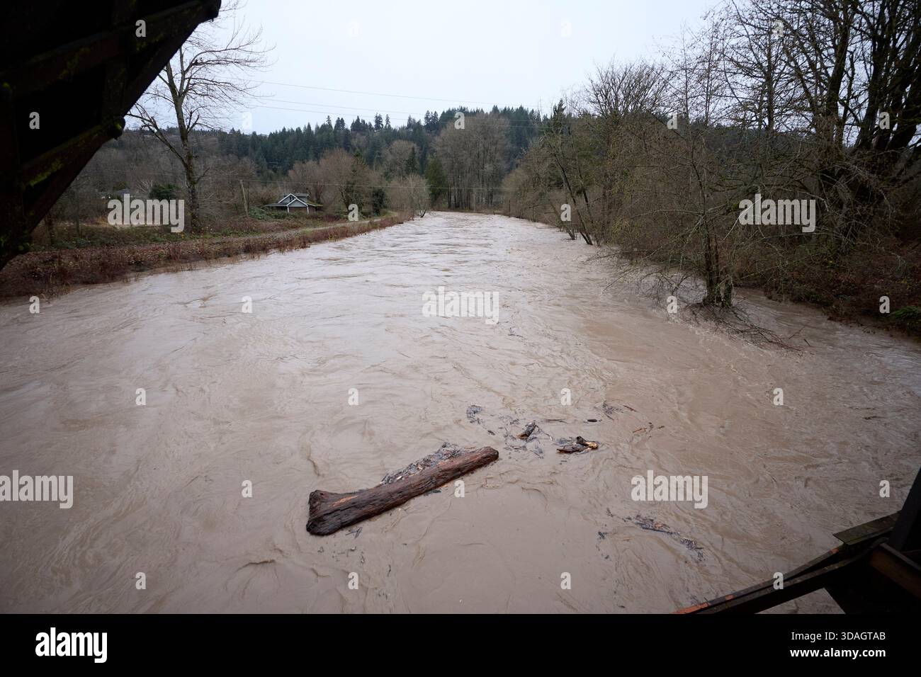 Debris is carried down the flooded Puyallup River seen from a trail ...
