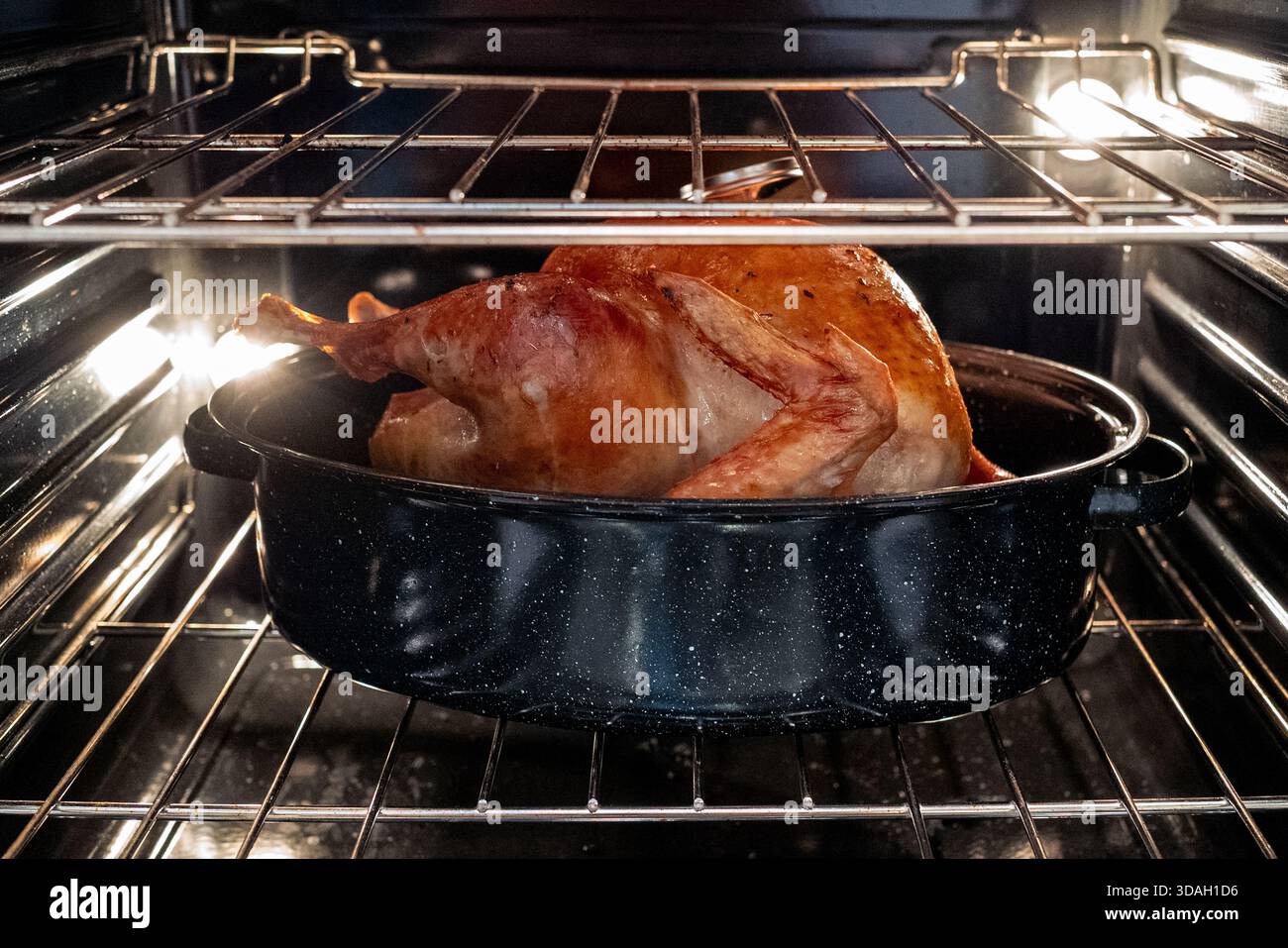 A turkey roasts in a pan in a domestic oven during cooking of an ...