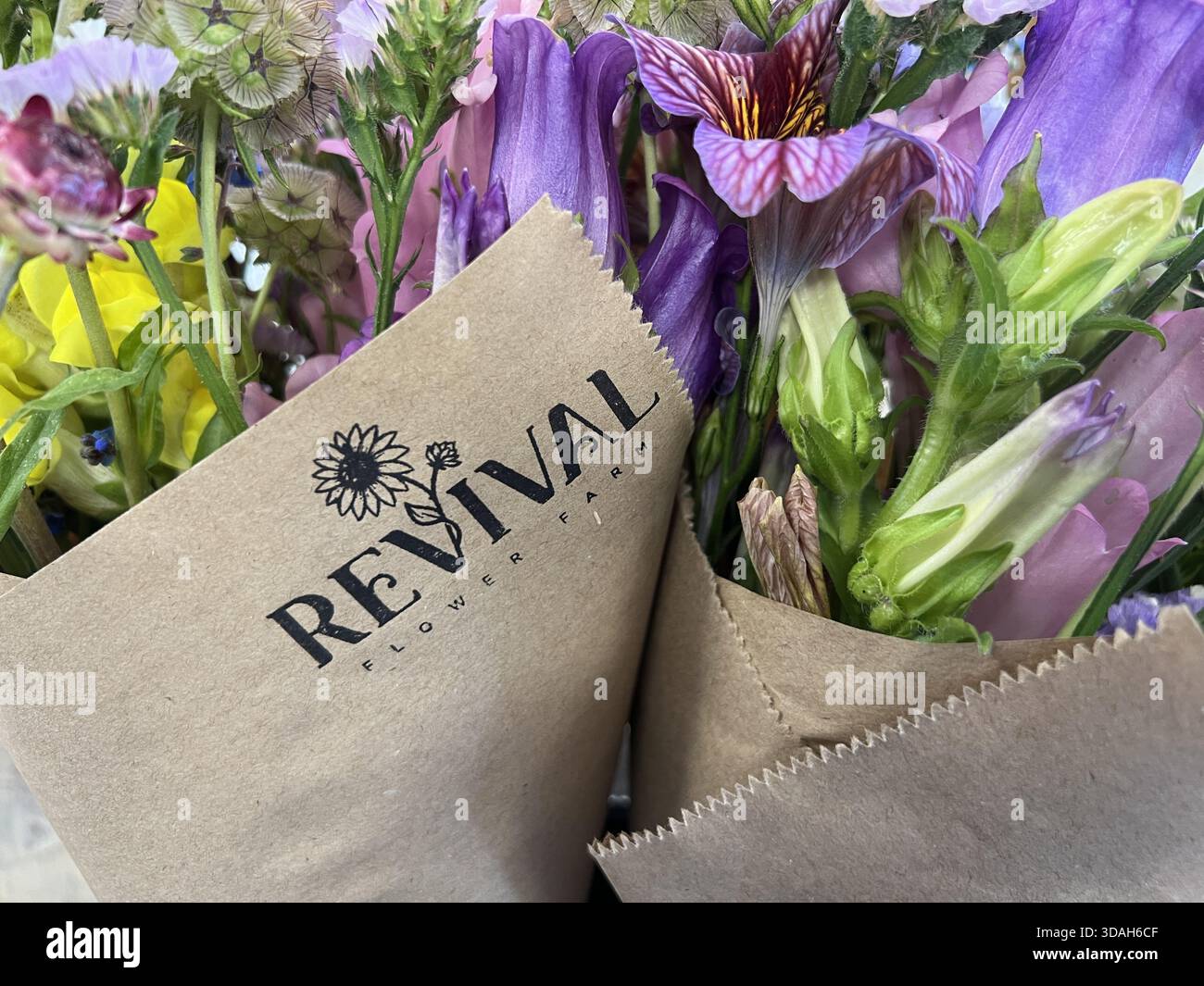 Close-up of bright floral bouquets from Revival Flower Farm on display ...