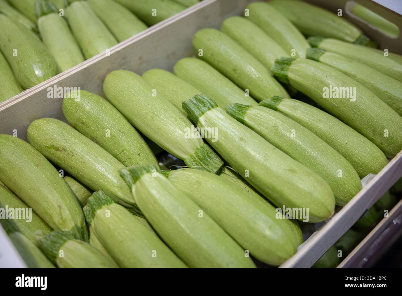 This photograph taken on December 10, 2025 shows zucchini (courgettes ...