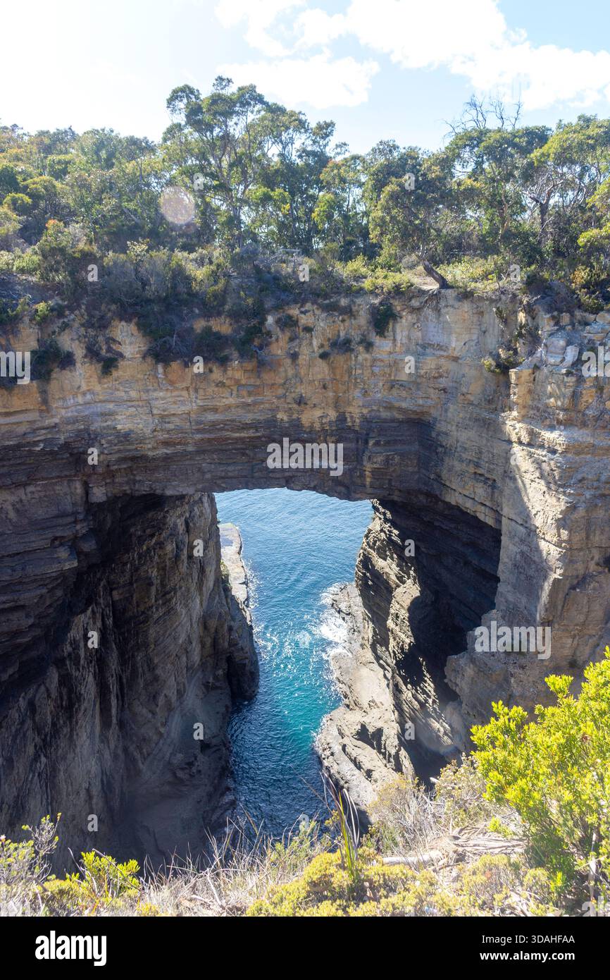 Eaglehawk neck tasman arch and littoral chasm cliffs coast coast hi-res ...