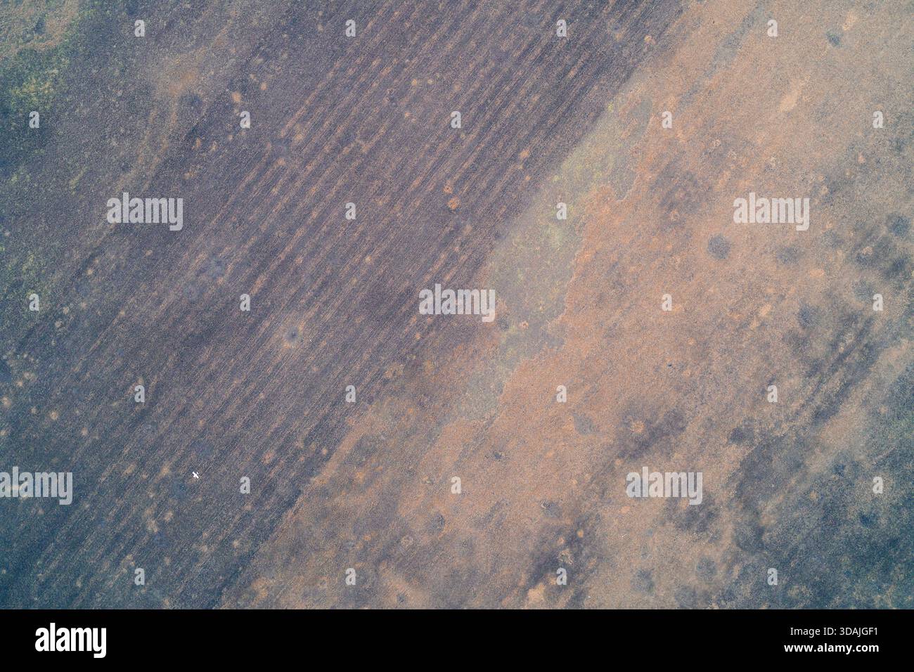 Diagonal texture tilled soil hi-res stock photography and images - Alamy