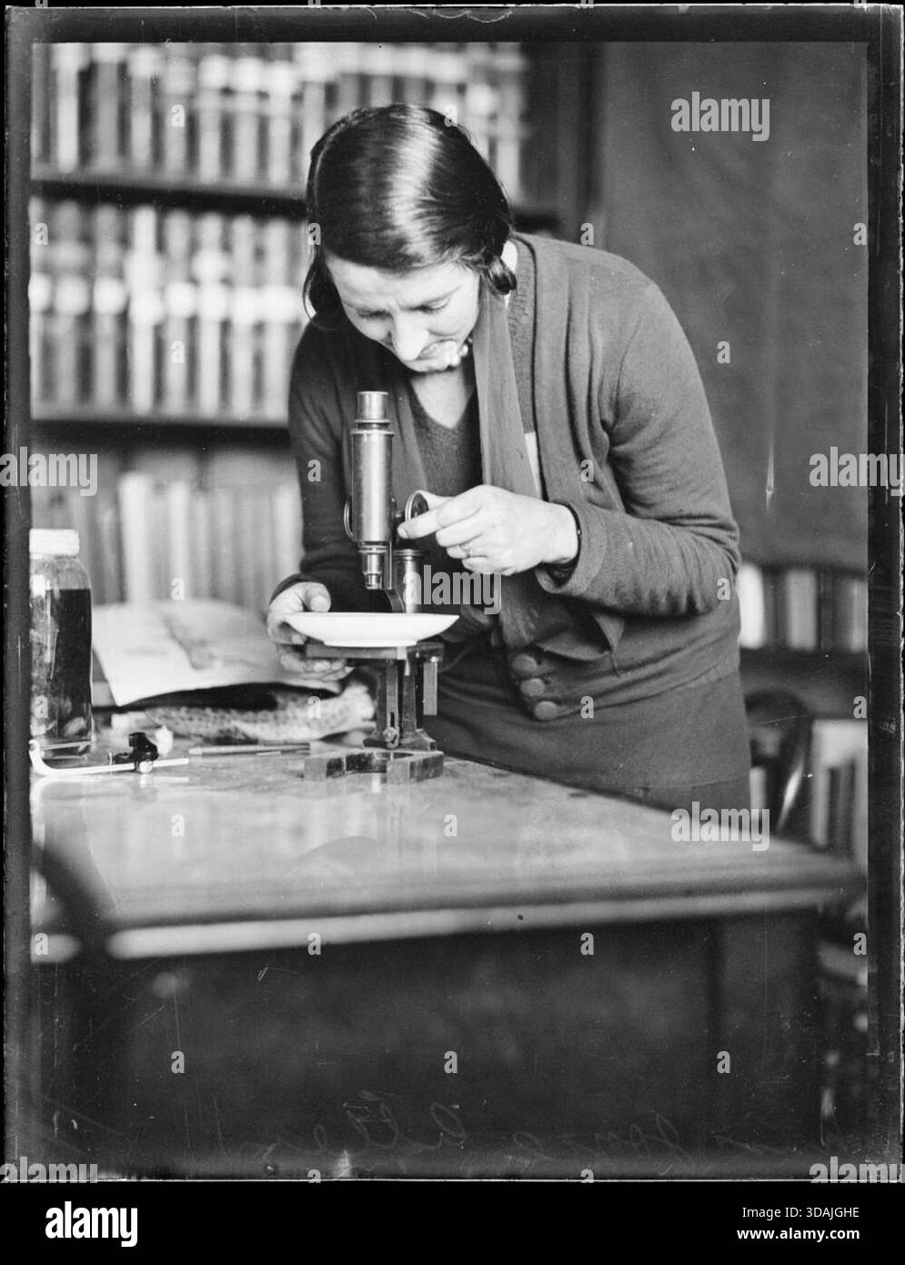 Joyce Allan examining a specimen under a microscope at the Australian ...