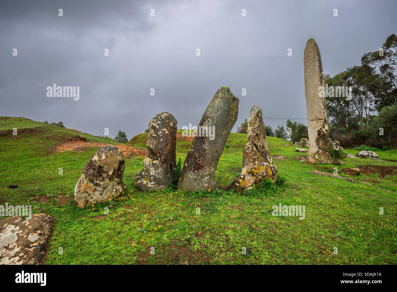 M'zora cromlech and menhir, megalithic enclosure, Middle Neolithic ...
