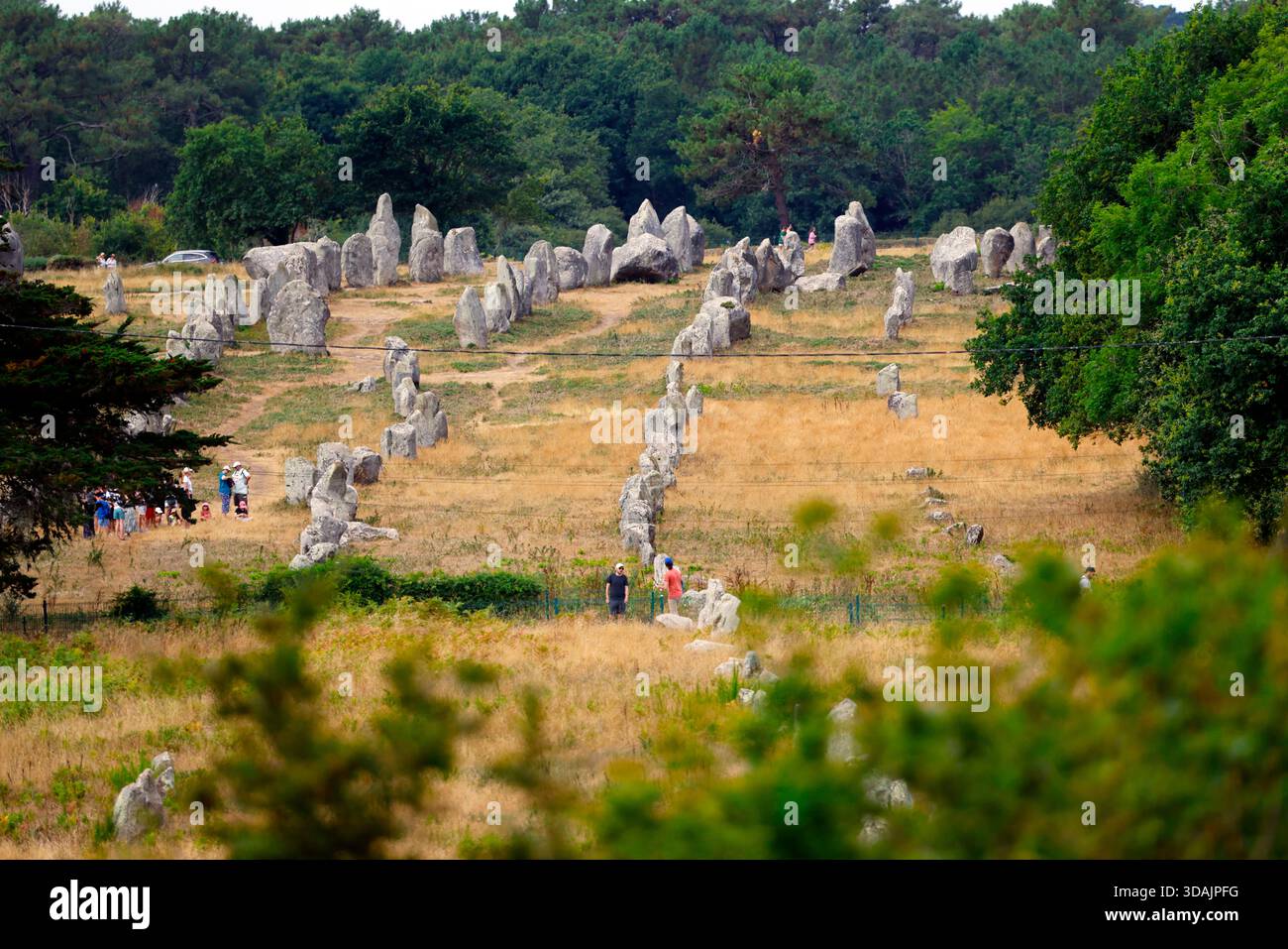 Carnac is famous as the site of more than 10000 Neolithic standing ...