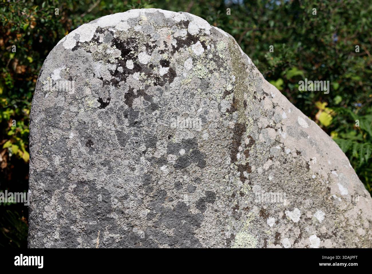 Carnac is famous as the site of more than 10000 Neolithic standing ...