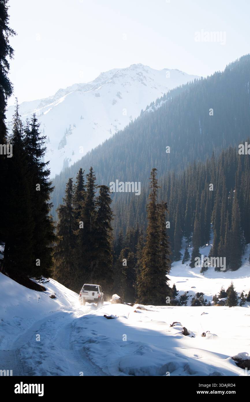 Driving along winter pine forest hi-res stock photography and images ...